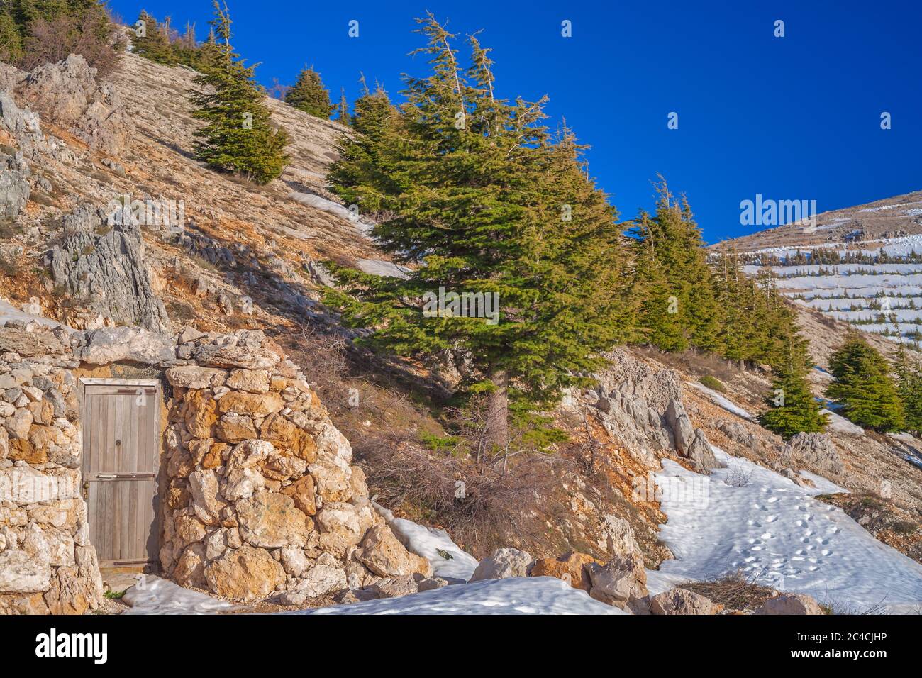 Al shouf cedar nature reserve hi-res stock photography and images - Alamy