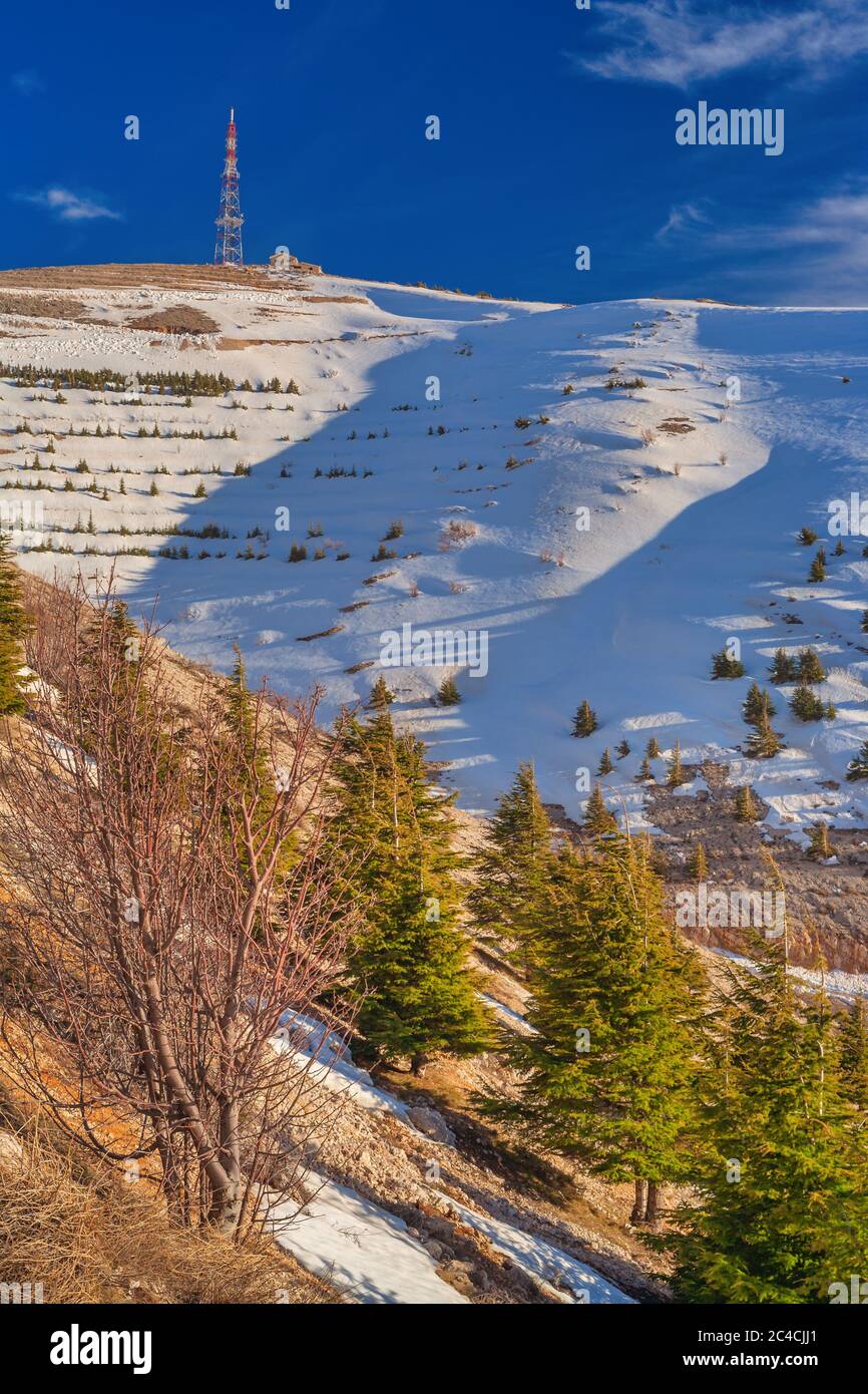 Al Shouf Cedar Nature Reserve High Resolution Stock Photography and ...