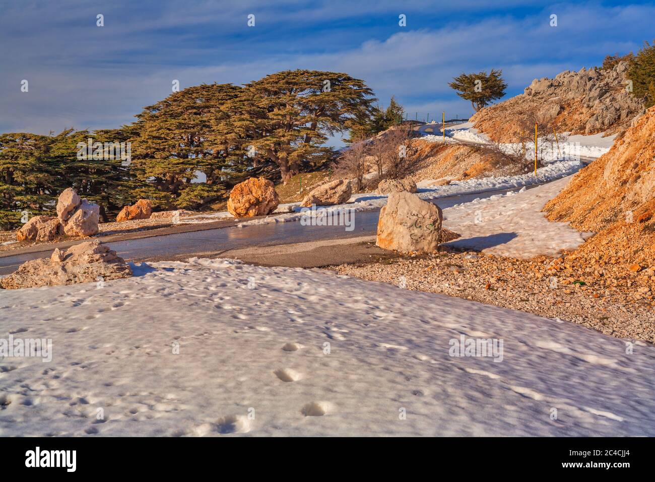 Al Shouf Cedar Nature Reserve High Resolution Stock Photography and ...