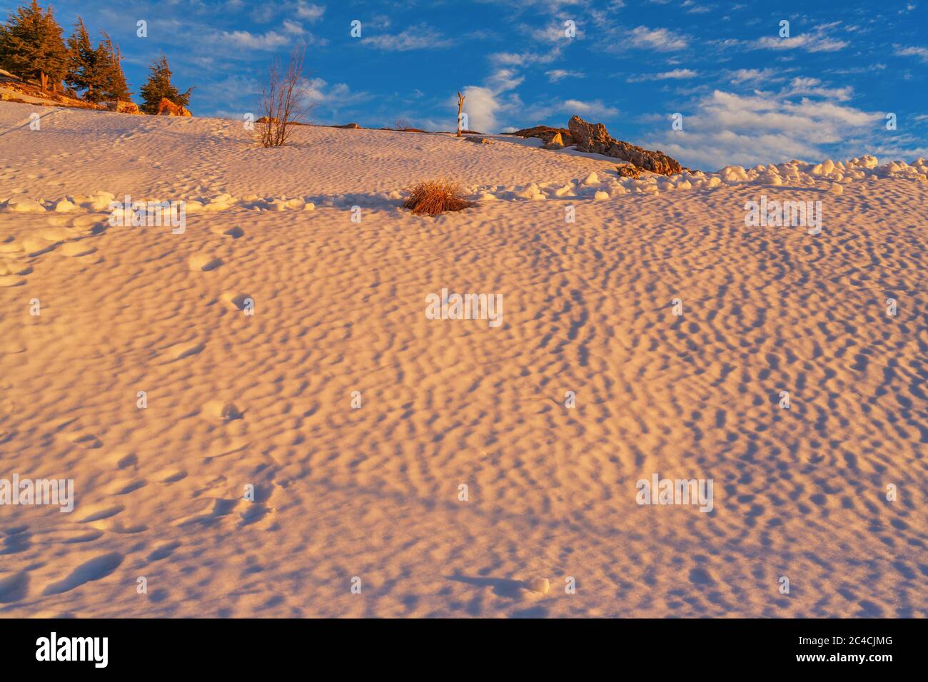 Al shouf cedar nature reserve hi-res stock photography and images - Alamy