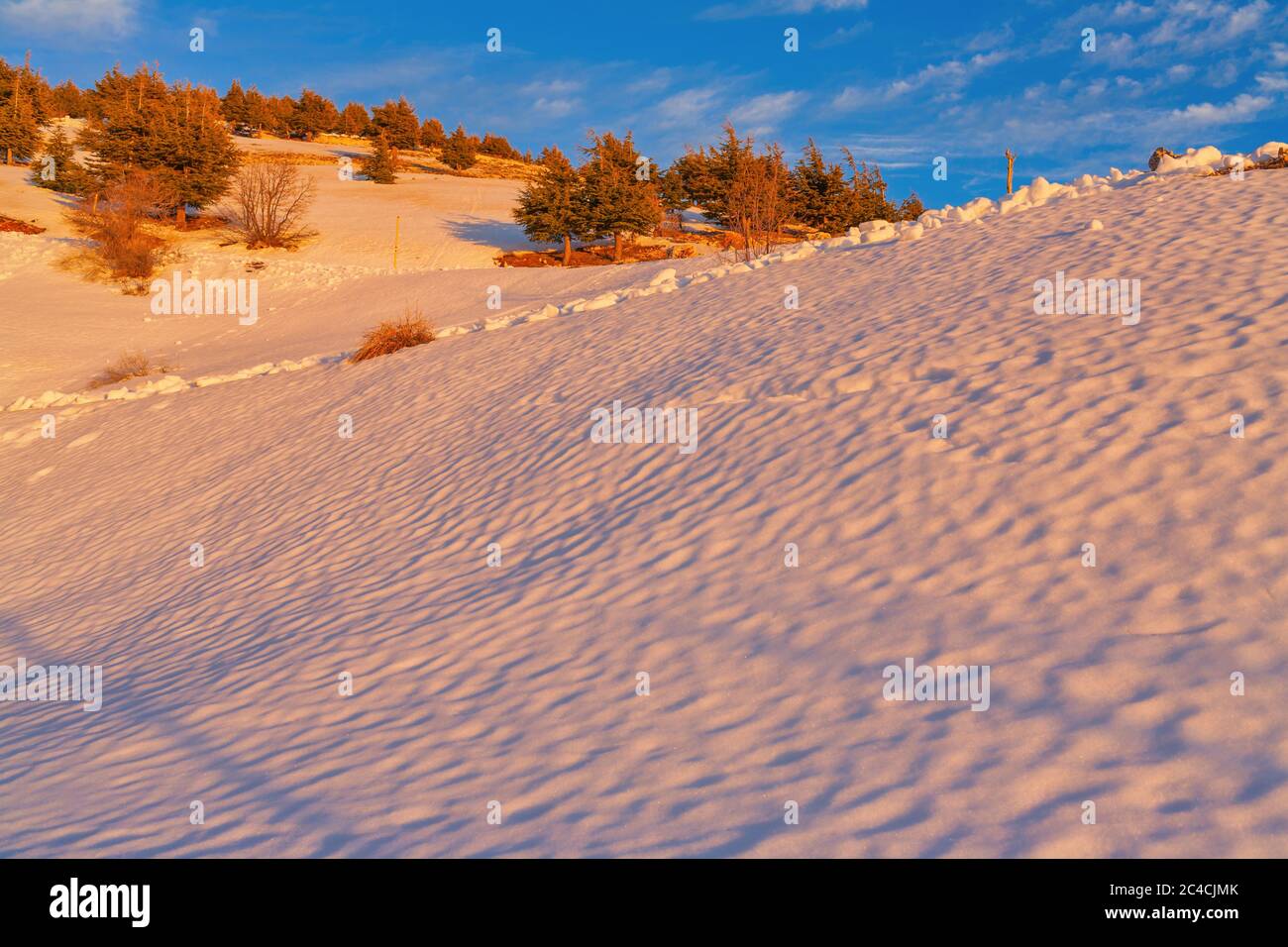 Al Shouf Cedar Nature Reserve, near Maaser esh-Shouf, Lebanon mountains ...