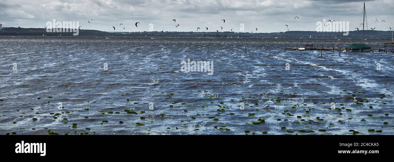 Wind whipped inland lake with water lily pads in front of a wide open ...