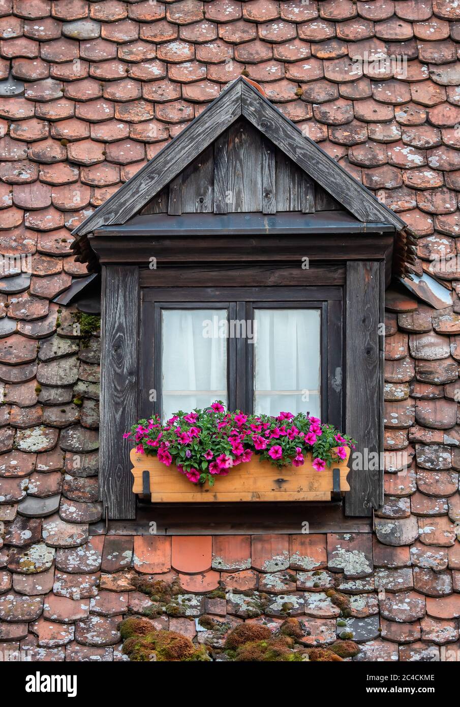 Medieval House Windows