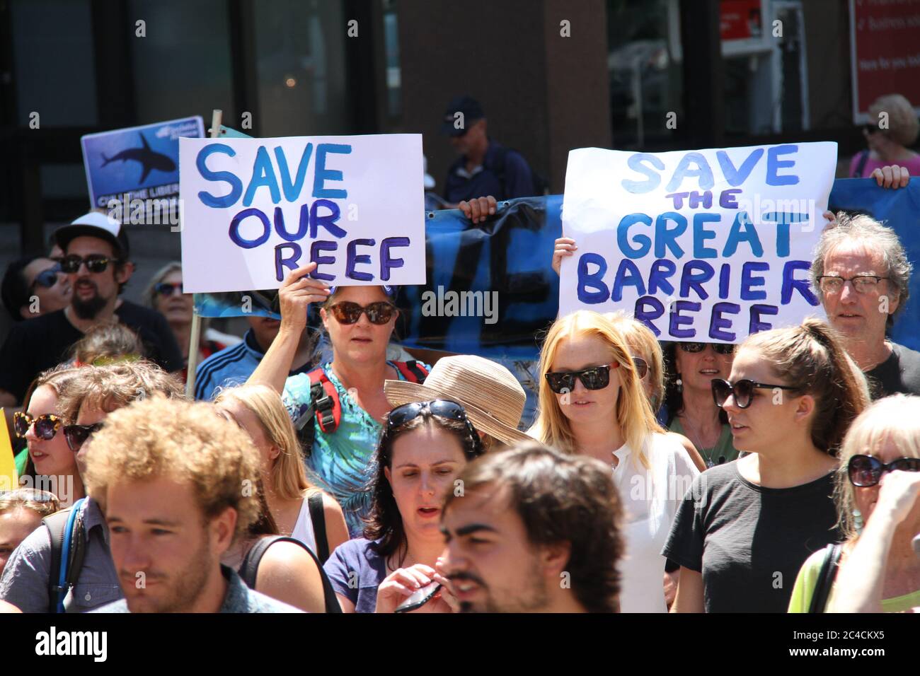 Save our reef hi-res stock photography and images - Alamy
