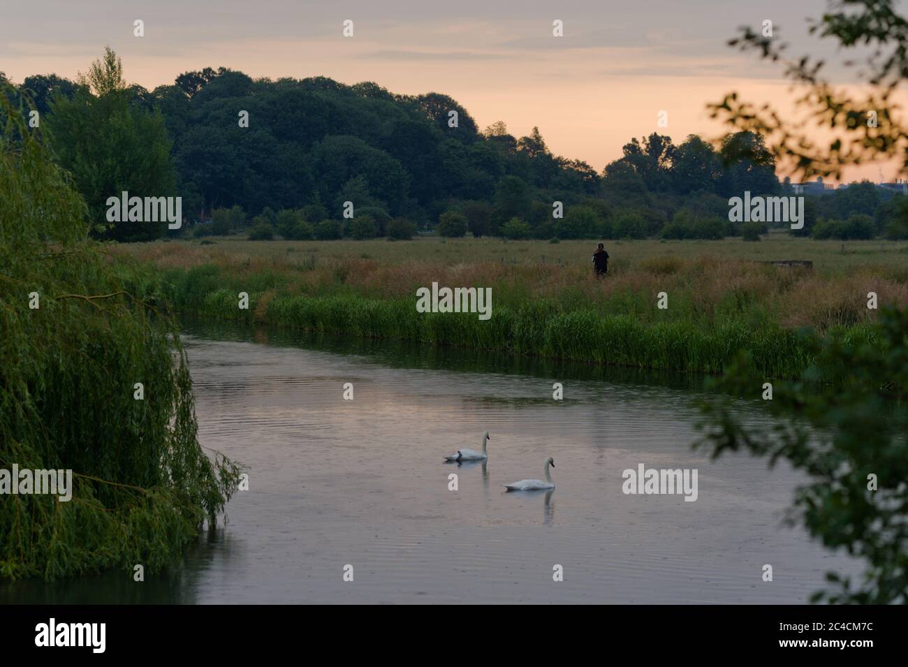 Hartham park hi-res stock photography and images - Alamy