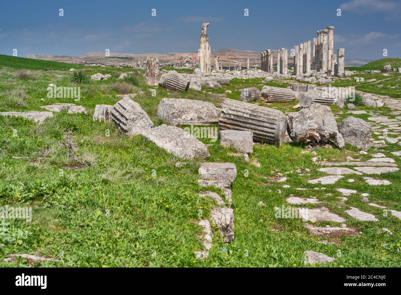 Ancient city Apamea, Apameia, Afamia, Syria Stock Photo - Alamy