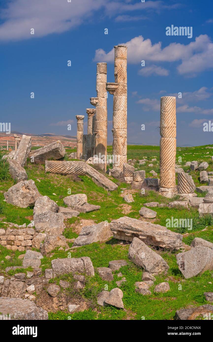 Ancient city Apamea, Apameia, Afamia, Syria Stock Photo - Alamy