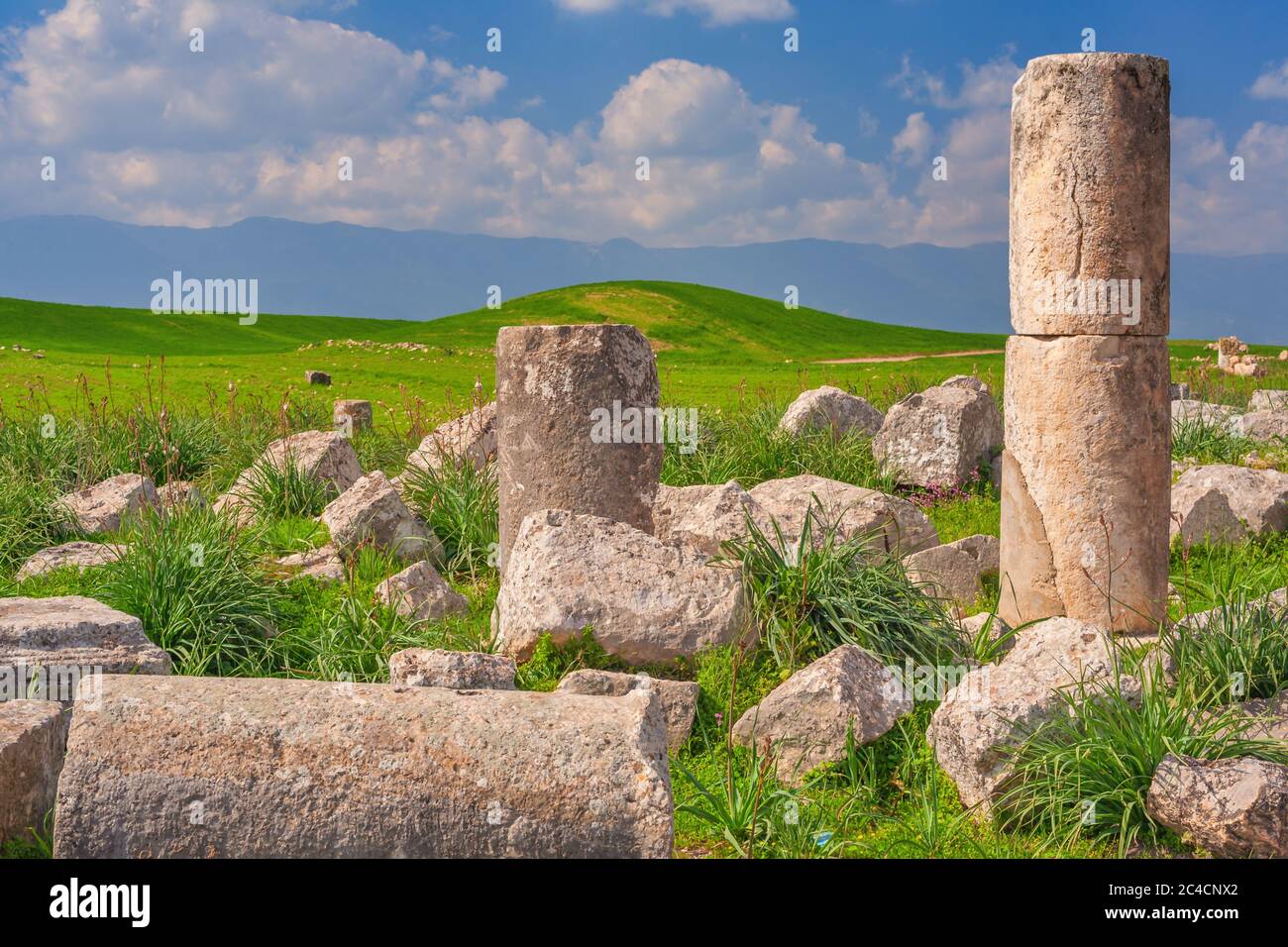 Ancient city Apamea, Apameia, Afamia, Syria Stock Photo - Alamy