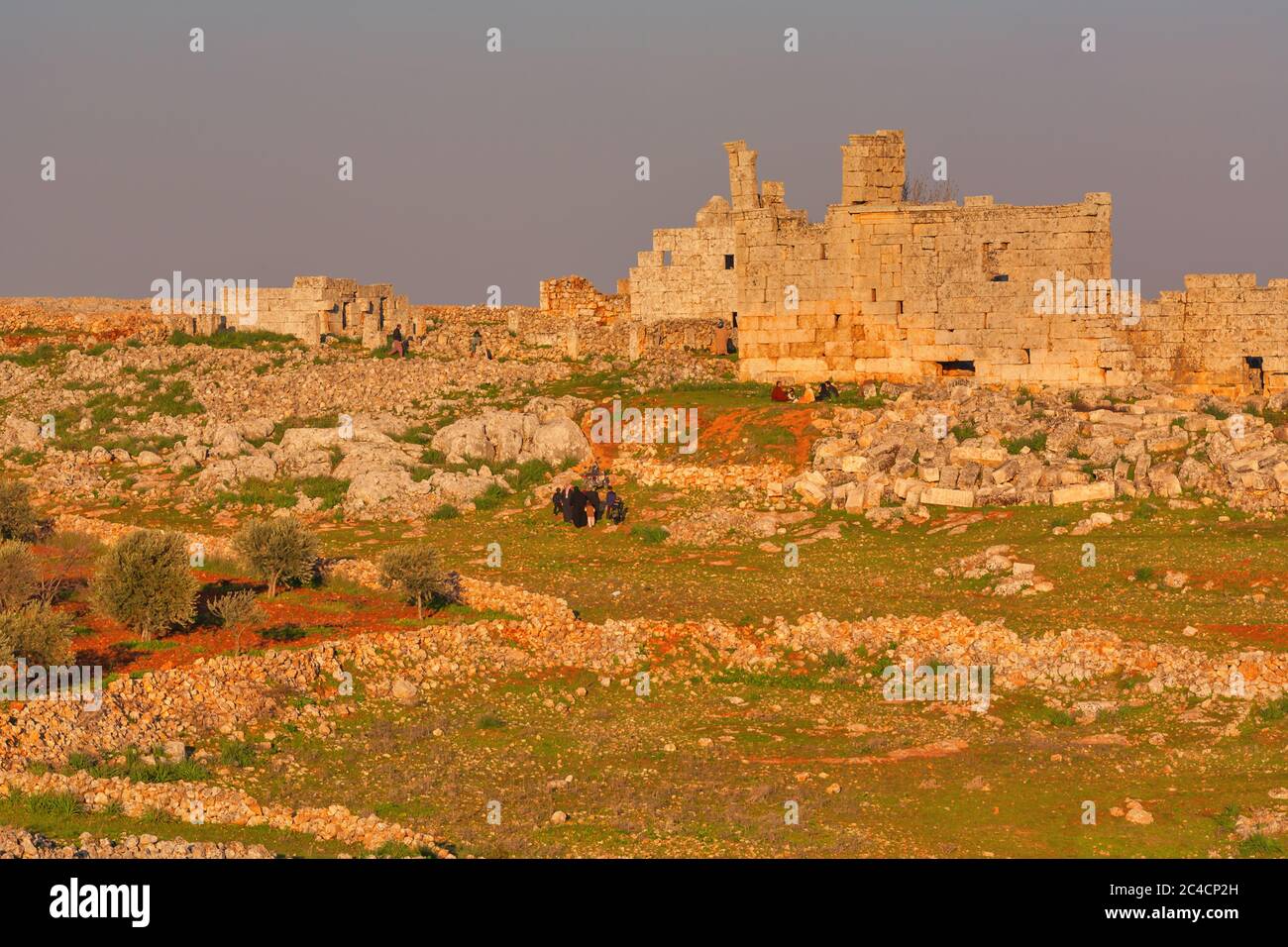 Dead city Serjilla, 6th century, Jebel Riha, Syria Stock Photo - Alamy