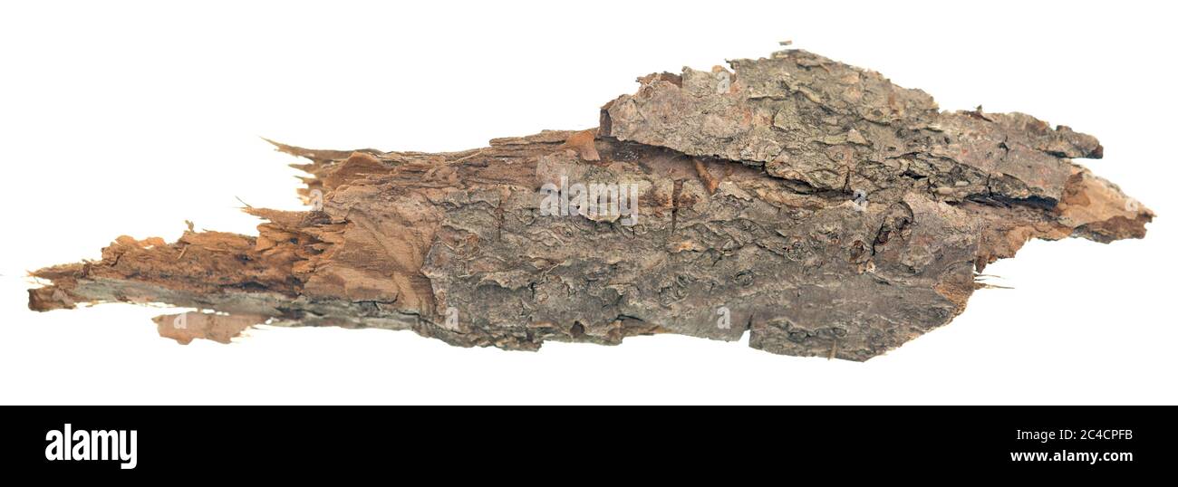 Bark isolated on white background Stock Photo - Alamy