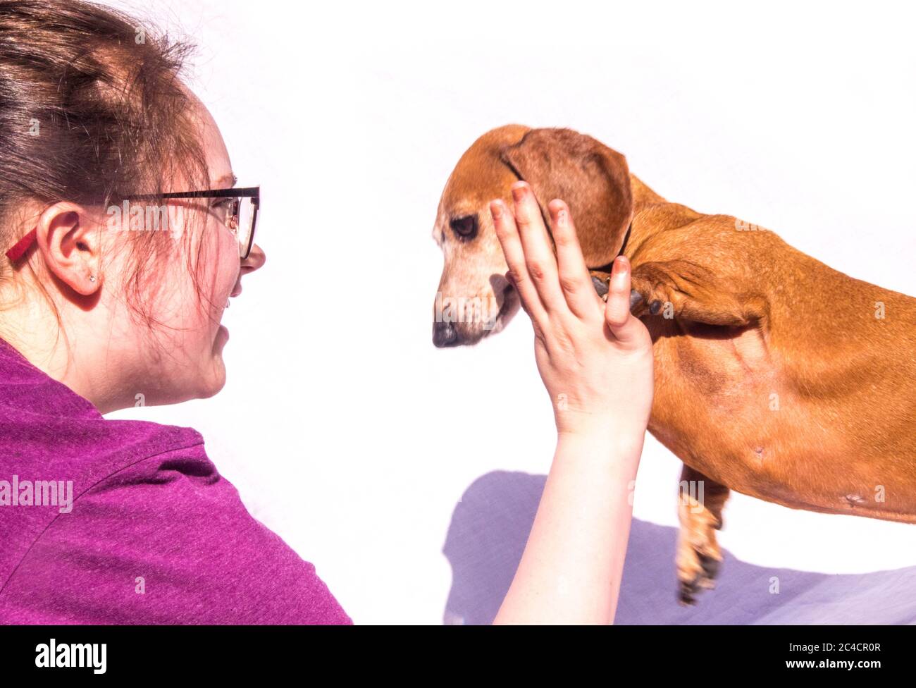 Dog doing trick hi-res stock photography and images - Alamy