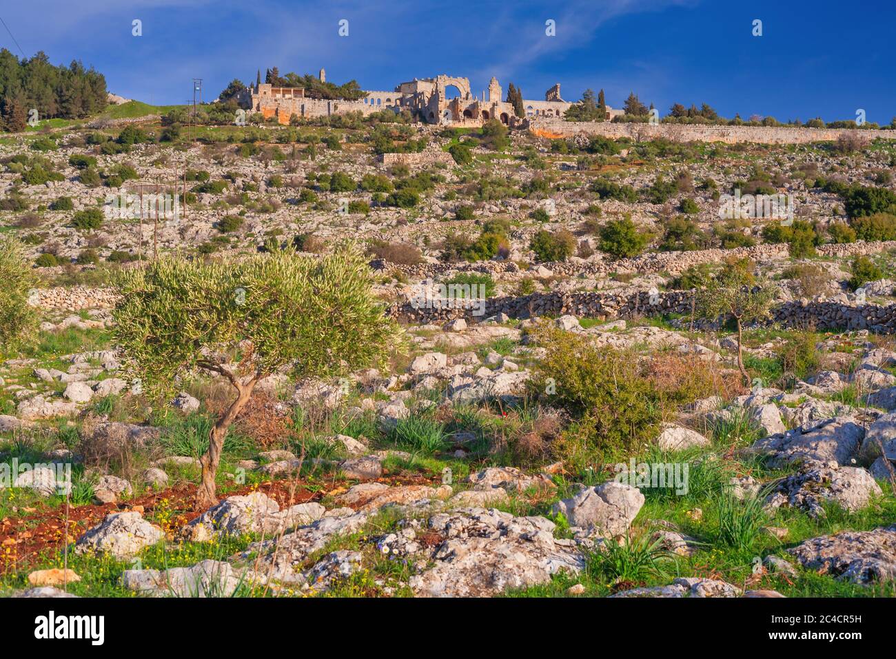 Byzantine church of St. Simeon Stylites, 475, Qallat Semaan, Syria ...