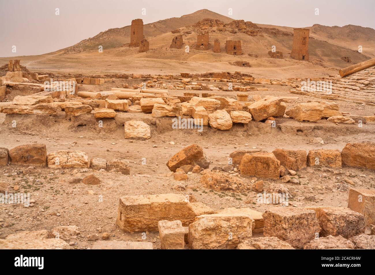 Ruins of ancient Palmyra, Tadmur, Syria Stock Photo - Alamy