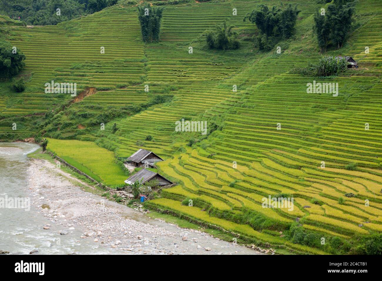 Rice plantation typical houses hi-res stock photography and images - Alamy