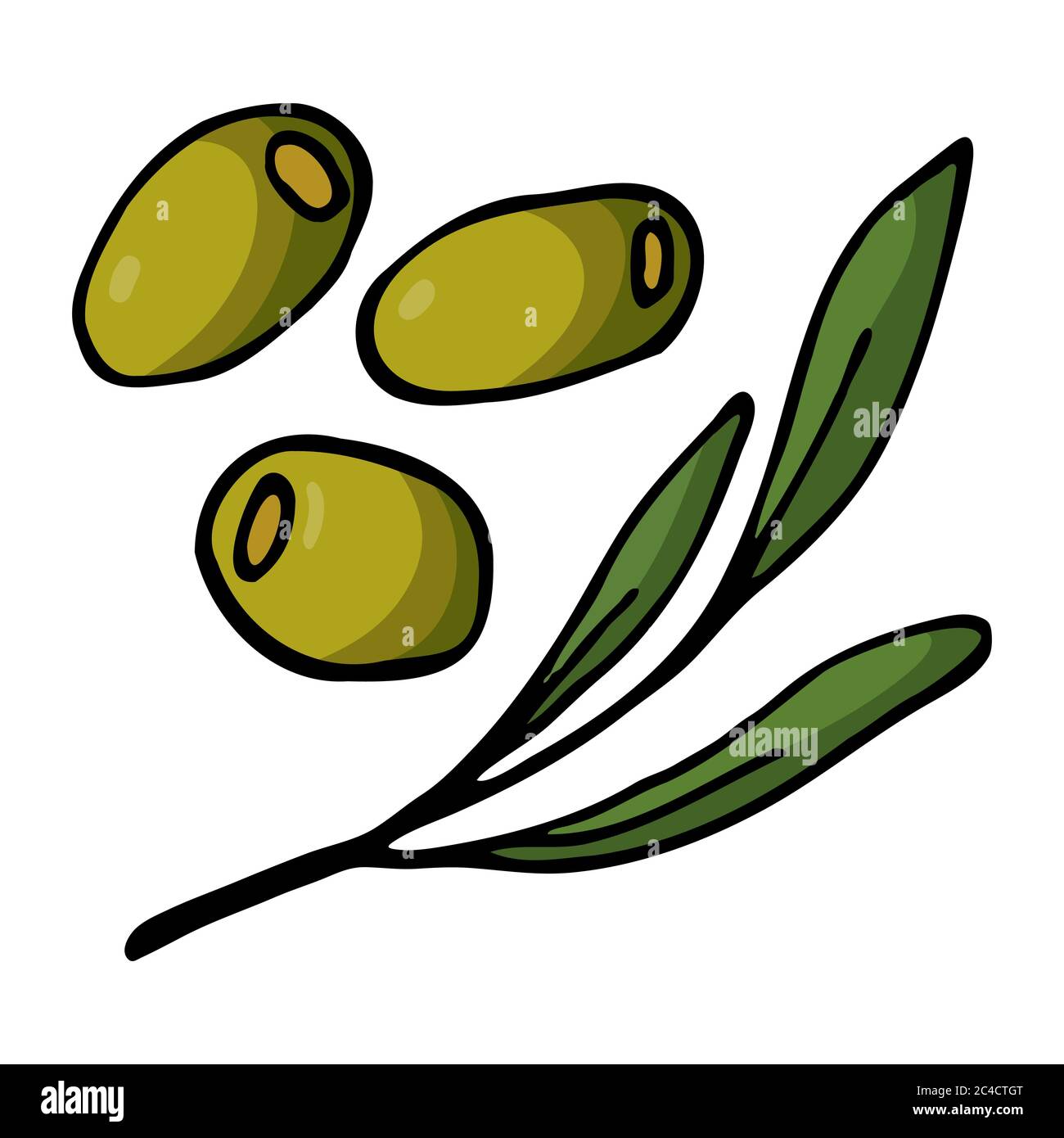 Green three olives and twig with leaves. Hand drawn outline doodle icon ...
