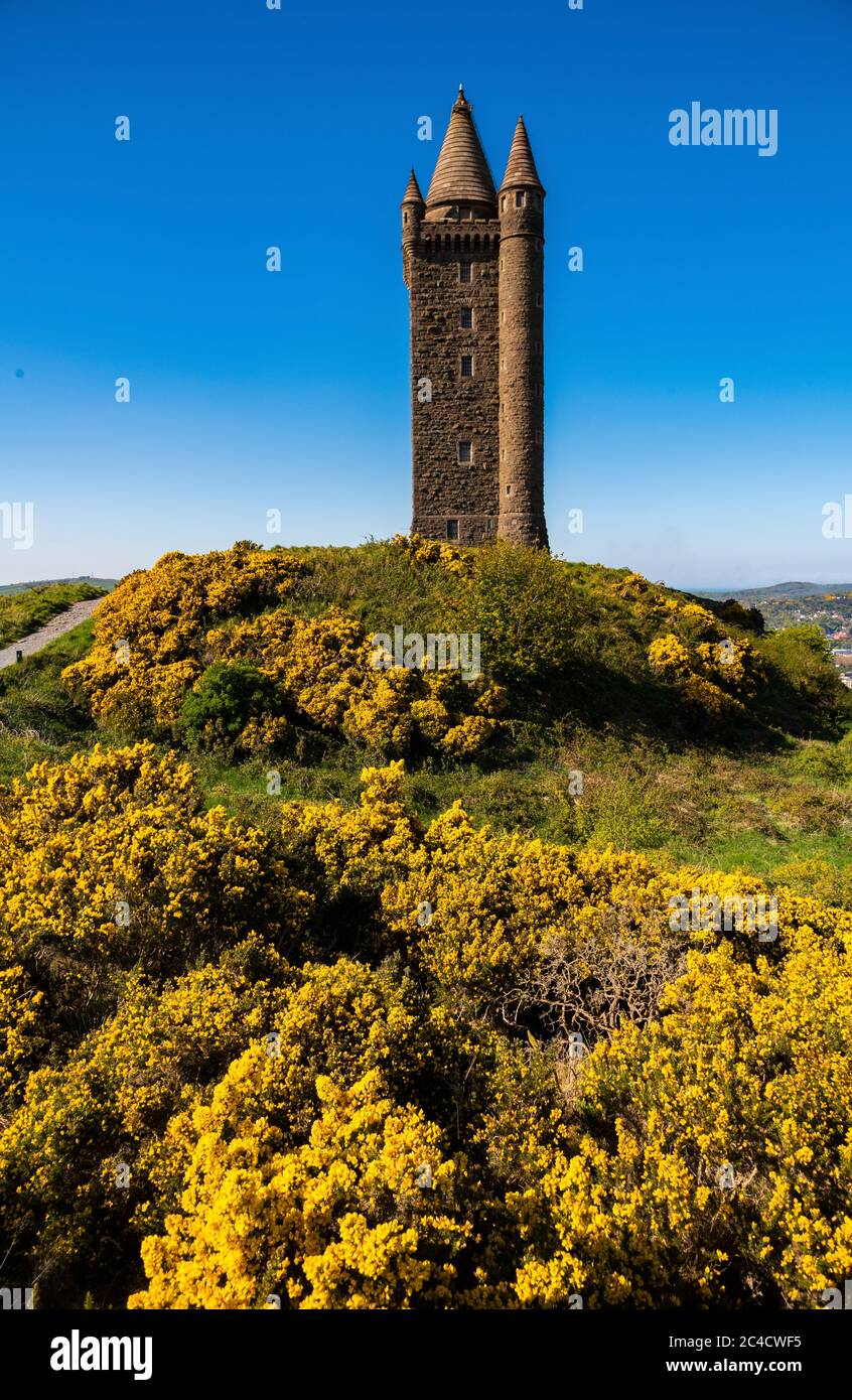Scrabo tower hi-res stock photography and images - Alamy