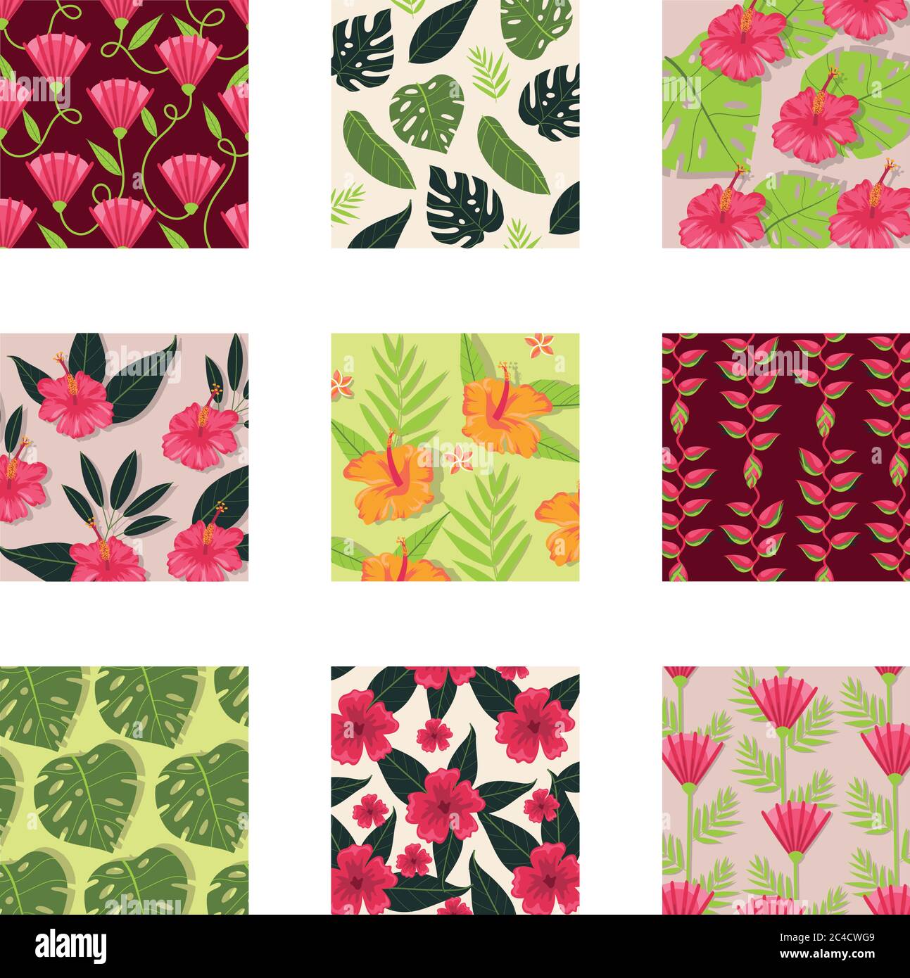 leafs and plants tropical patterns backgrounds vector illustration ...