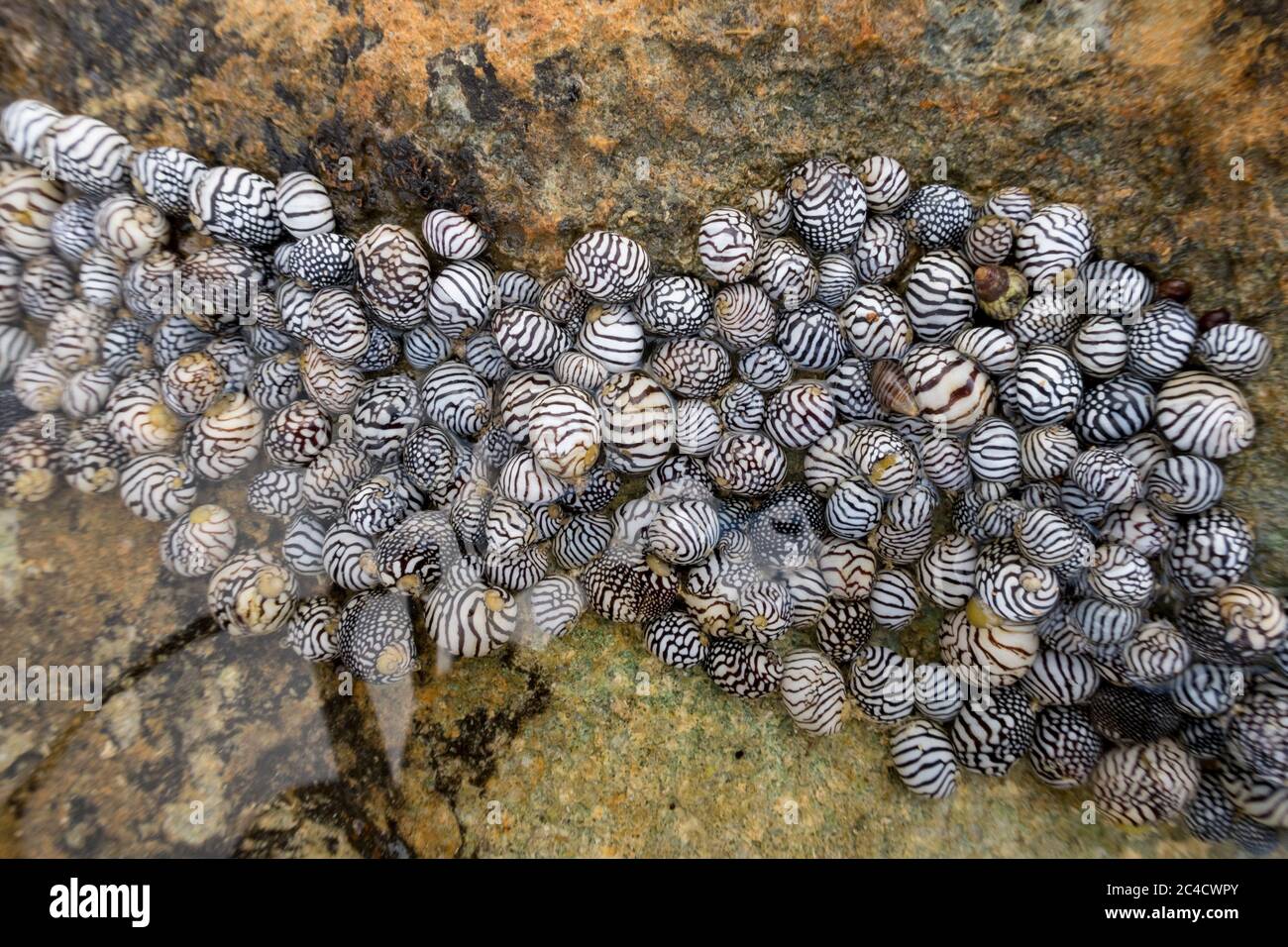 Black pools hi-res stock photography and images - Alamy