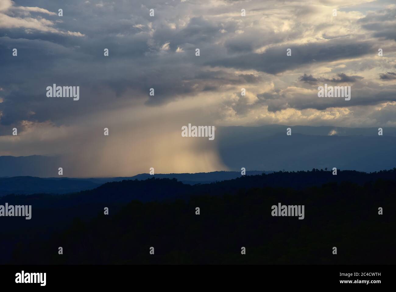 Tunderstorm, Cloudburst Above the natural forest in the middle of the ...