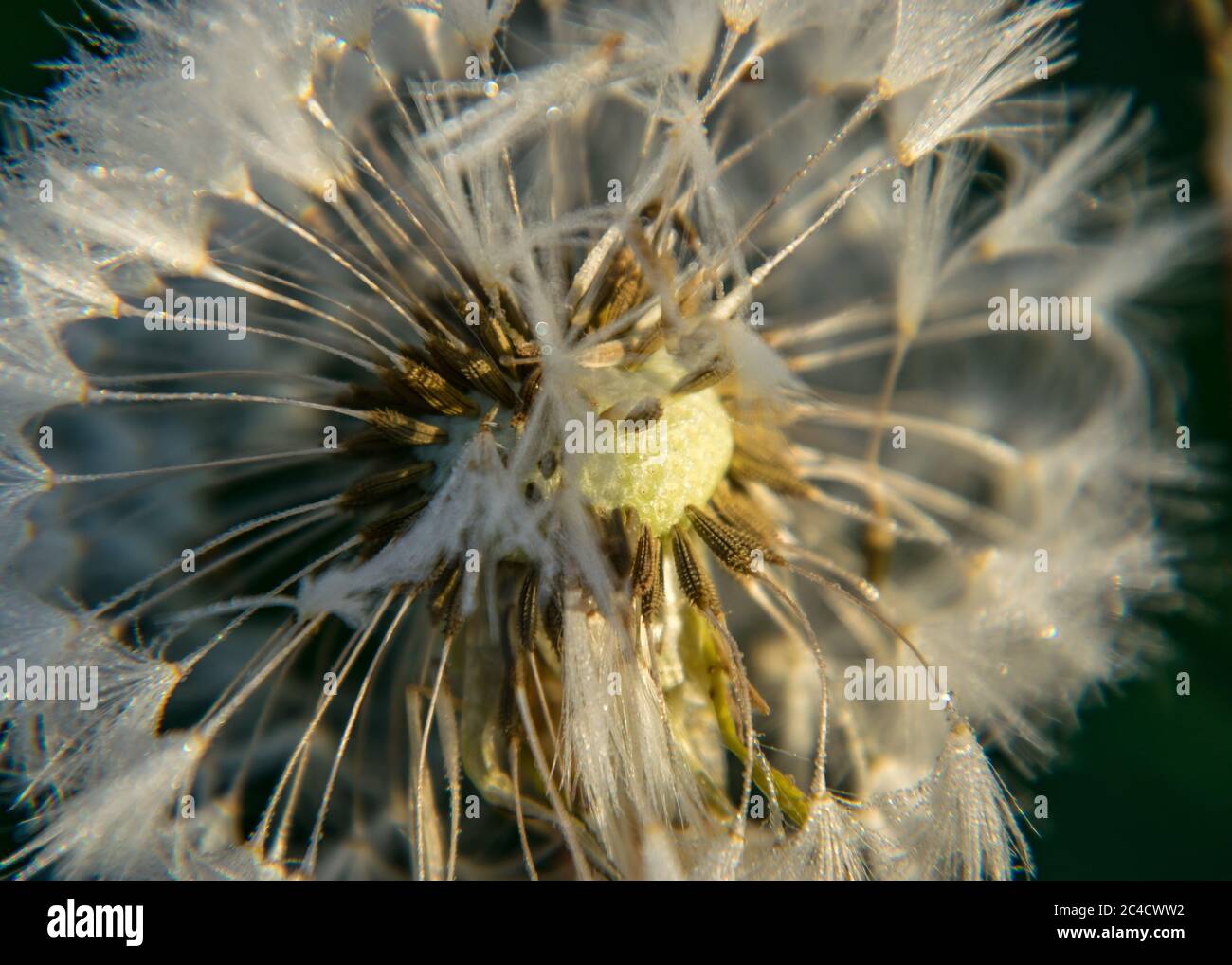 Blurred details hi-res stock photography and images - Alamy