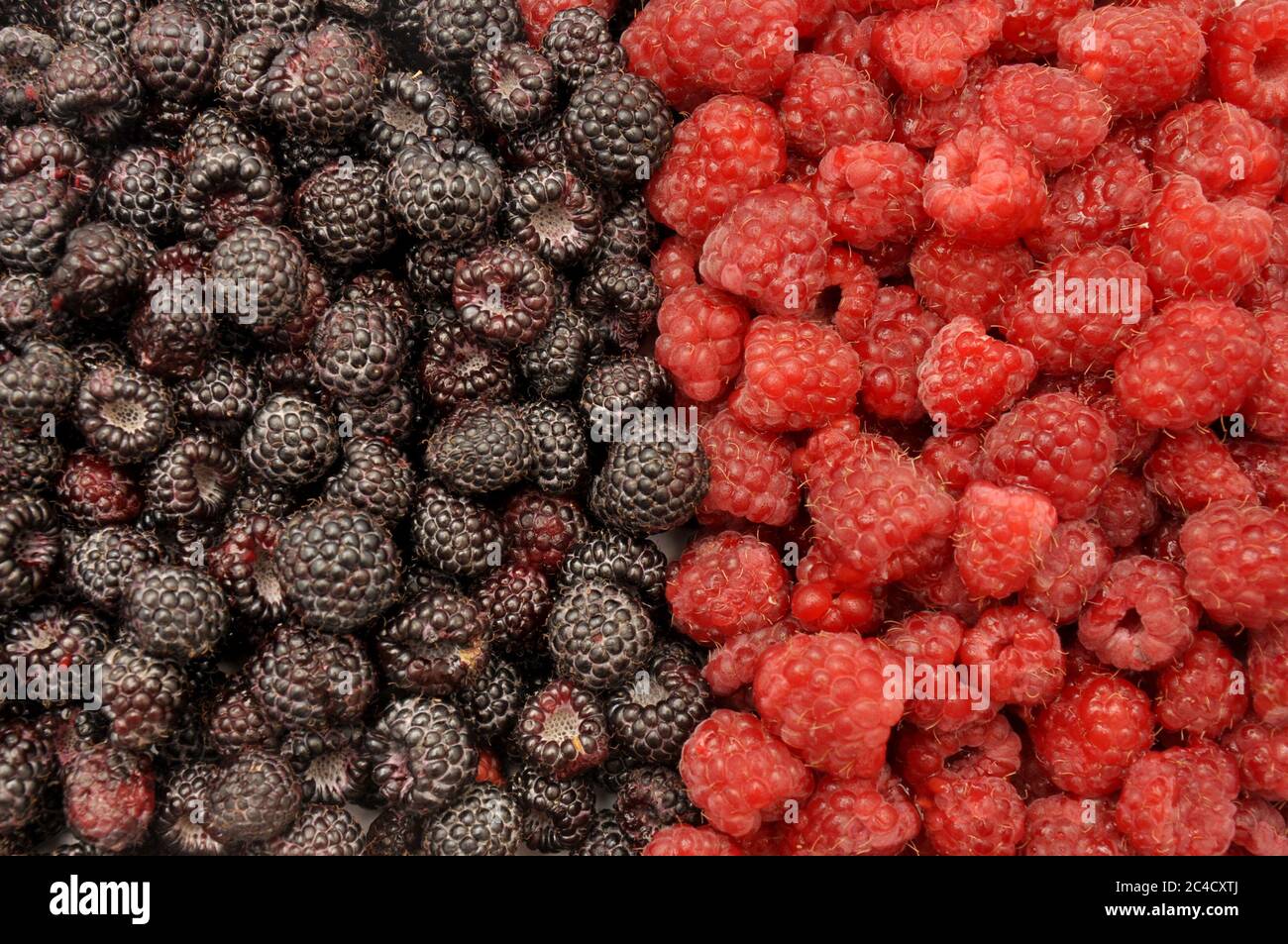 Blackberry and raspberry Stock Photo - Alamy