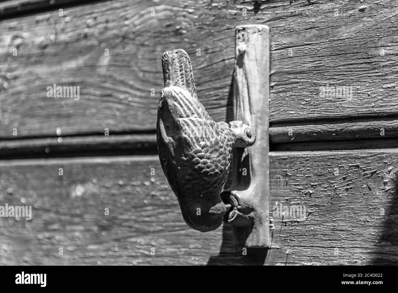 An antique metal knocker on a wooden door, which depicts a bird beating ...
