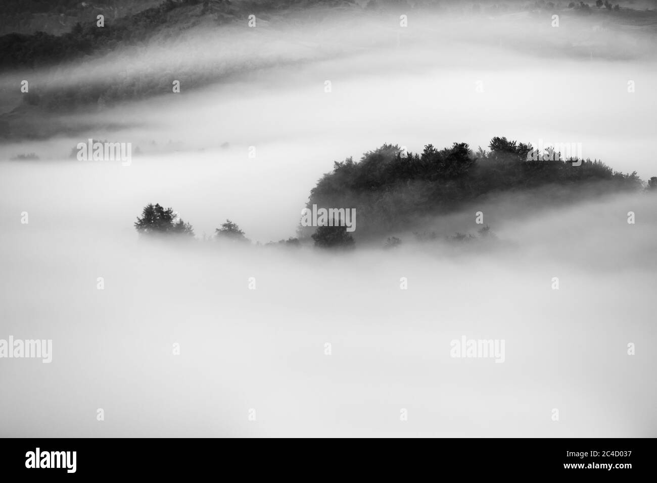 landscape with morning fog Stock Photo - Alamy