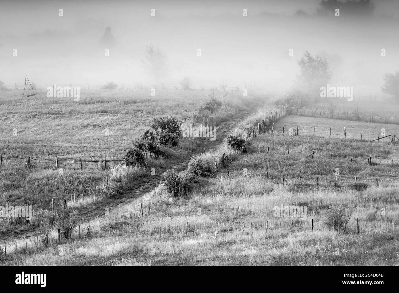 landscape with morning fog Stock Photo - Alamy