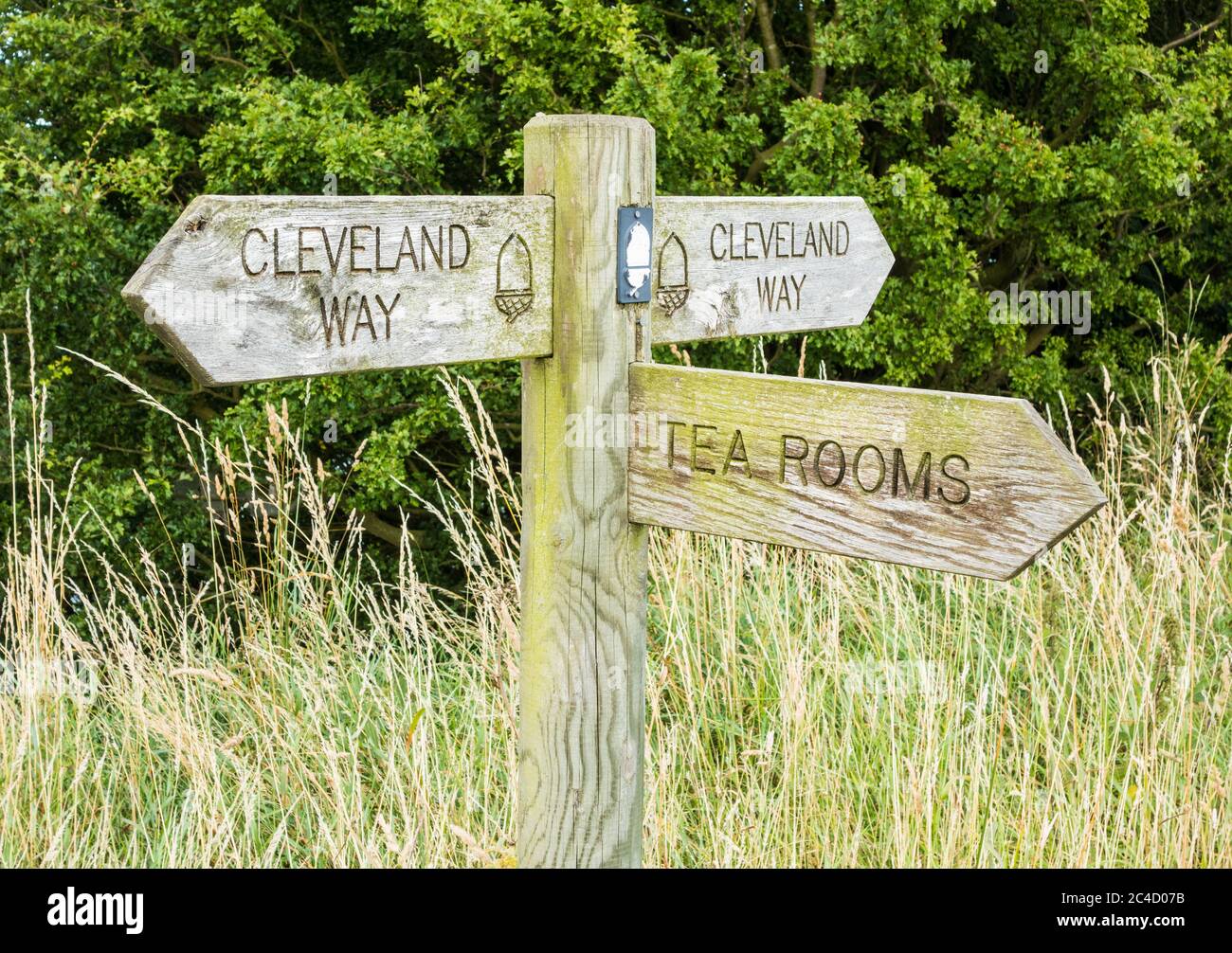 Cleveland Way and Tea Rooms sign at Ravenscar on the North Yorkshire ...