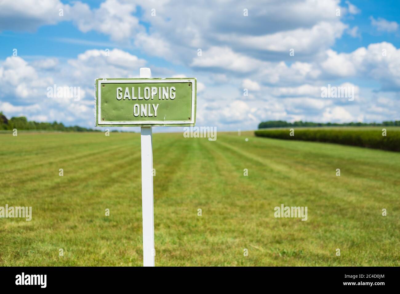 Shallow focus of a Galloping Only sign seen adjacent to a huge grass ...