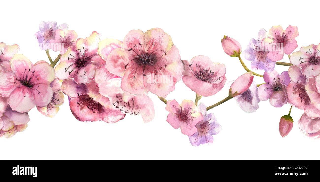 Cherry Blossom Border Design