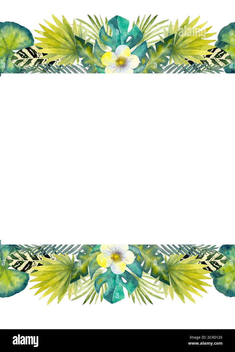 Tropical leaves . Repetition of summer horizontal border. Floral ...