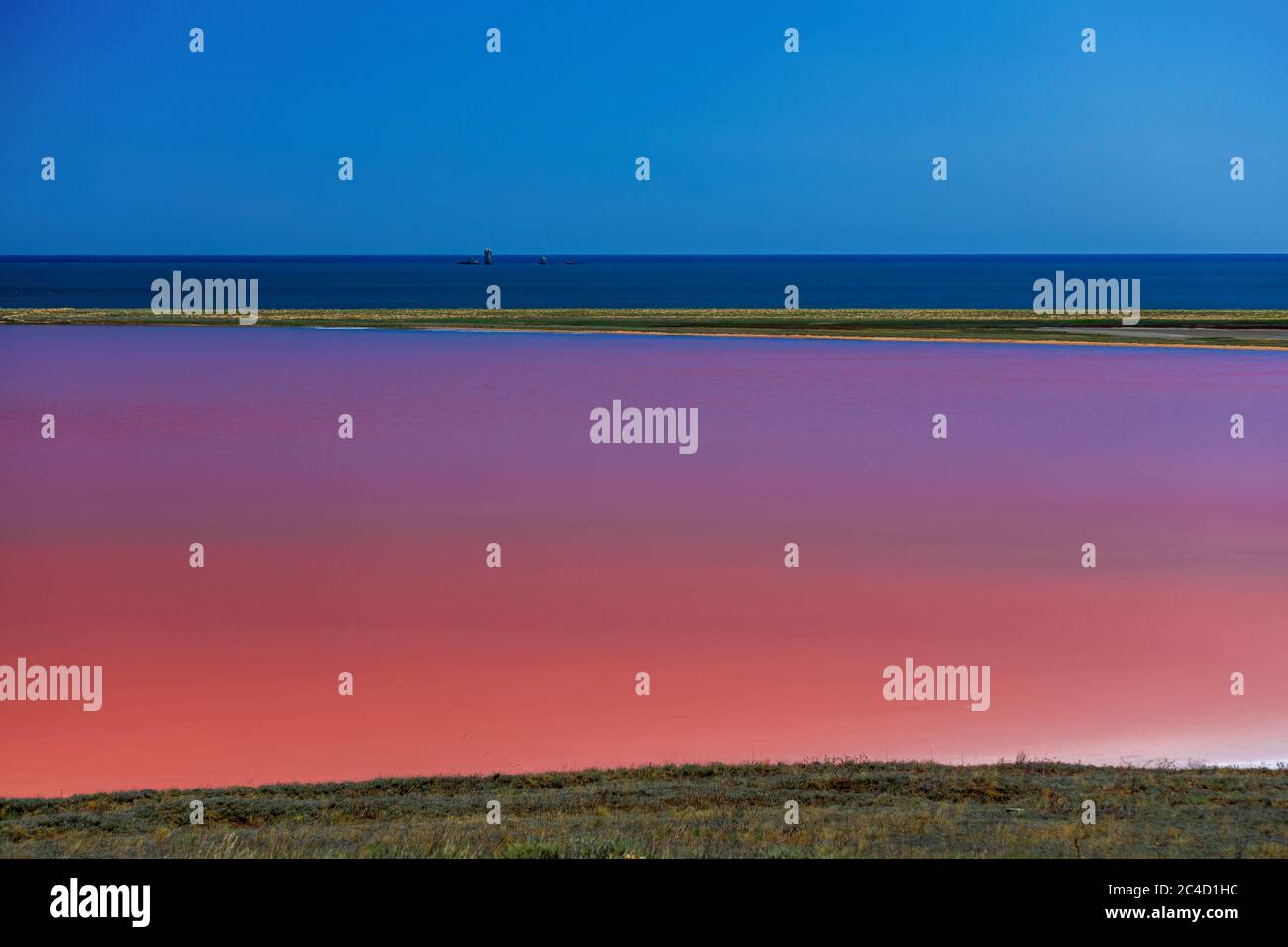 Pink salt lake Koyash, cape Opuk Kerch Crimea Stock Photo - Alamy
