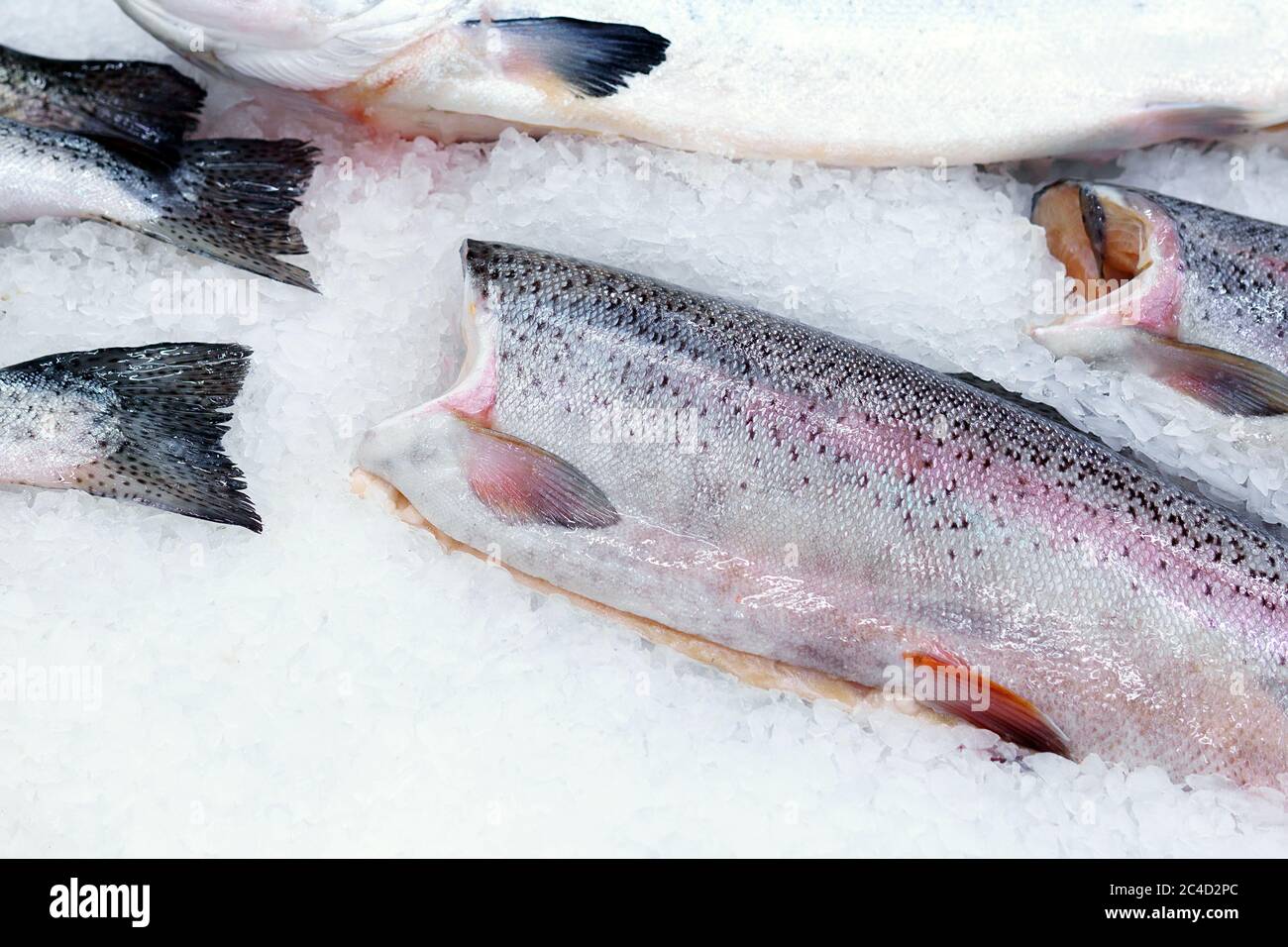 Raw fish ready for sale in the supermarket. Close-up shot. Shop window ...