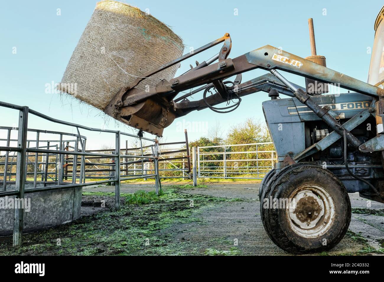 Old dairy farm tractor seen transporting a large round bale of hay ...