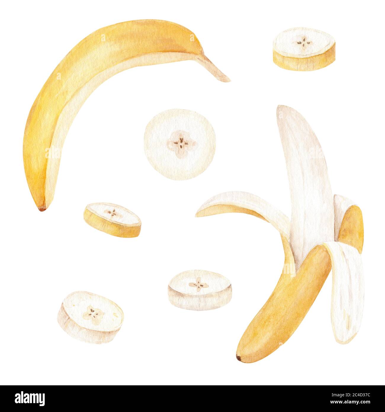 Banana tropical fruit watercolor clipart. Hand painted food ...