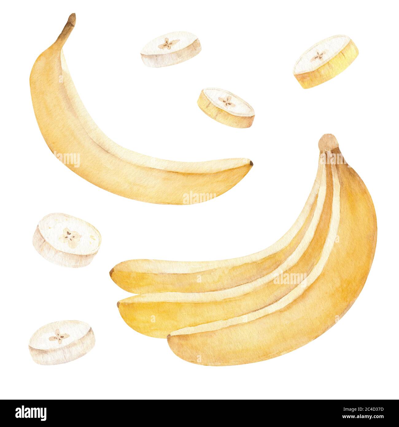 Banana watercolor clipart. Yellow tropical fruit. Food illustration ...