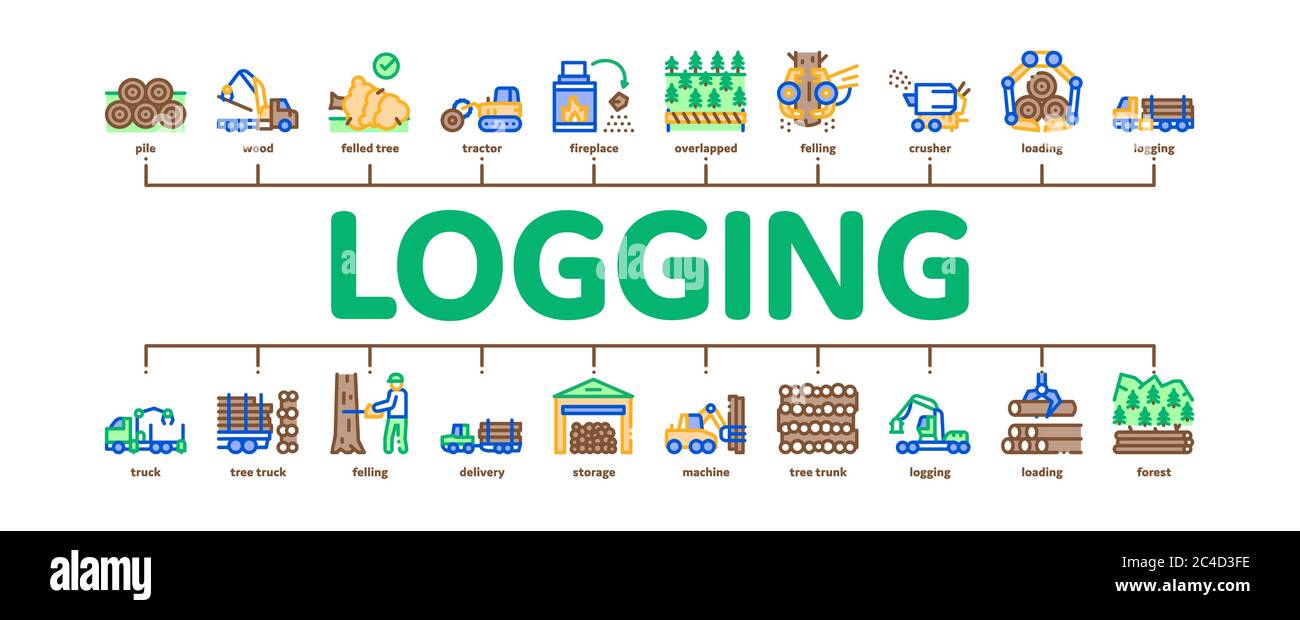 Wood Logging Industry Minimal Infographic Banner Vector Stock Vector ...