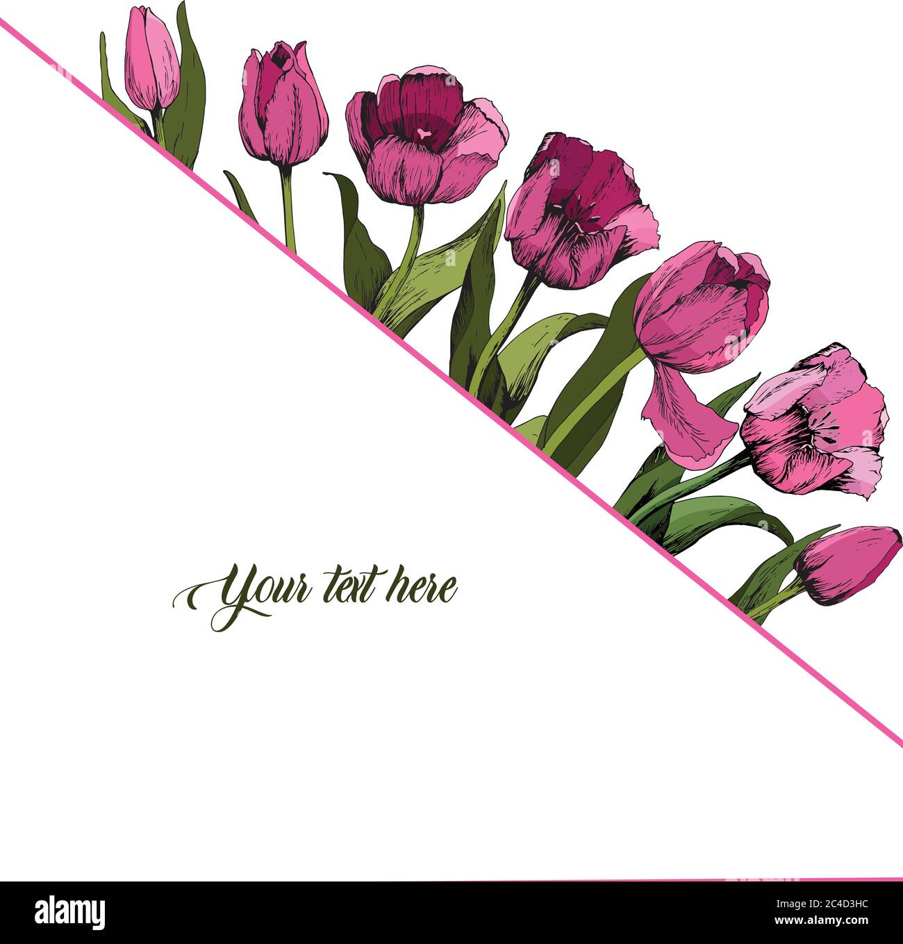 Frame with colored pink tulips. Poster. Spring mood. Vector ...