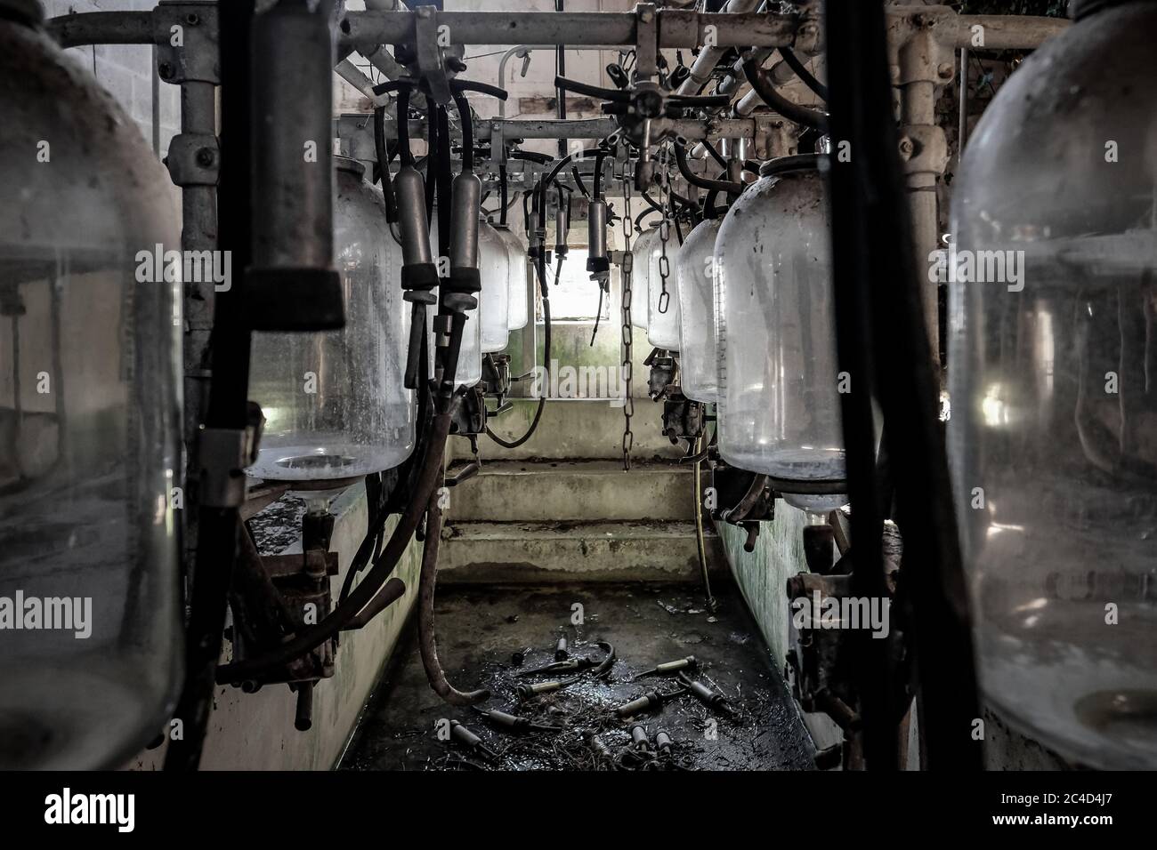 Abandoned milking machinery seen in a traditional milking parlour ...
