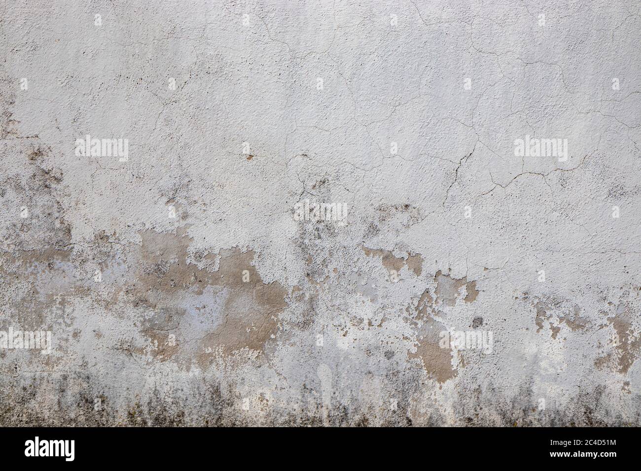 Gray wall ruined by time, bad weather and humidity. Cracks, mold ...
