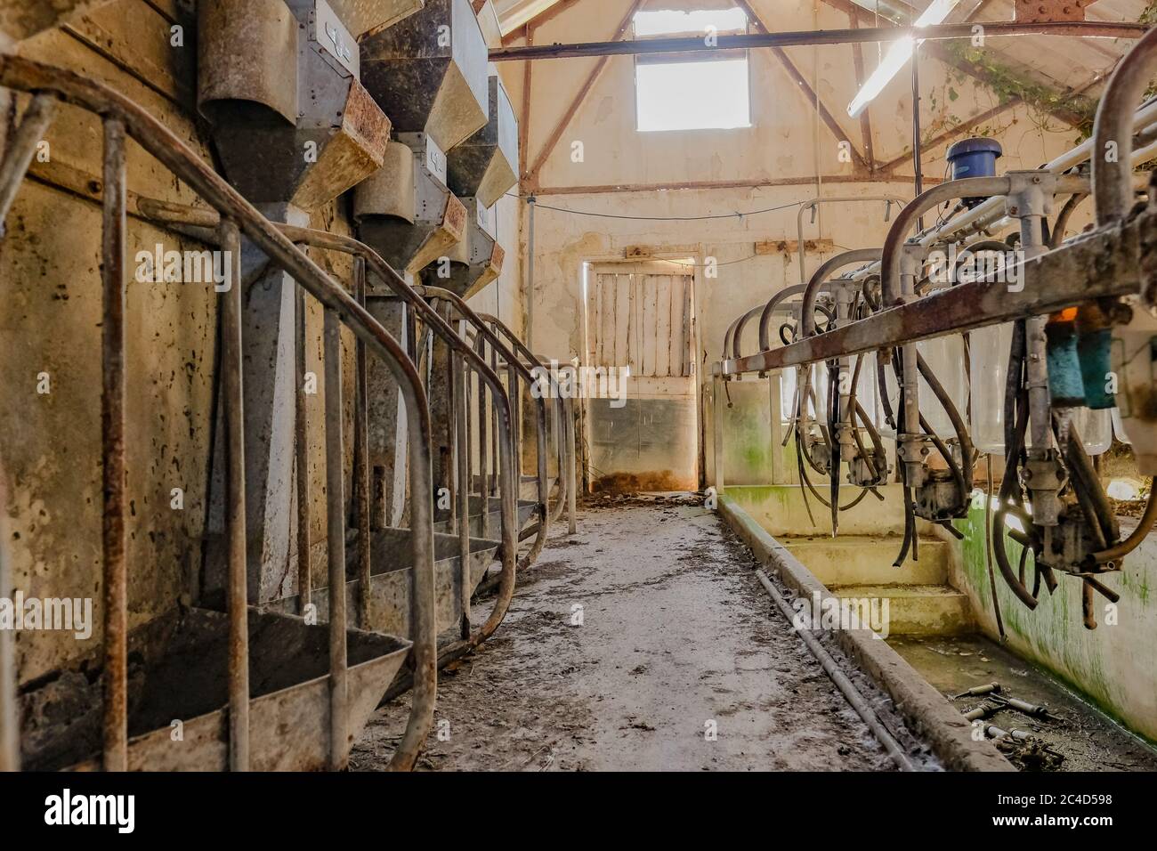 Empty milking parlour hi-res stock photography and images - Alamy