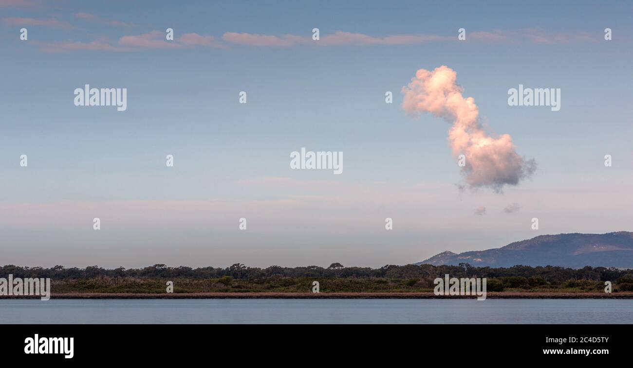 Running Chicken Cloud Stock Photo - Alamy