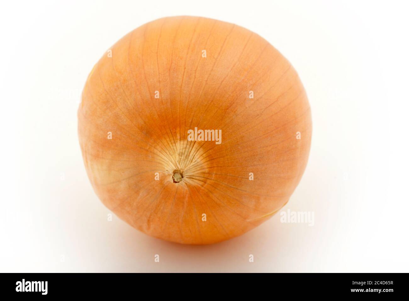 Fresh onion bulb isolated on white Stock Photo - Alamy