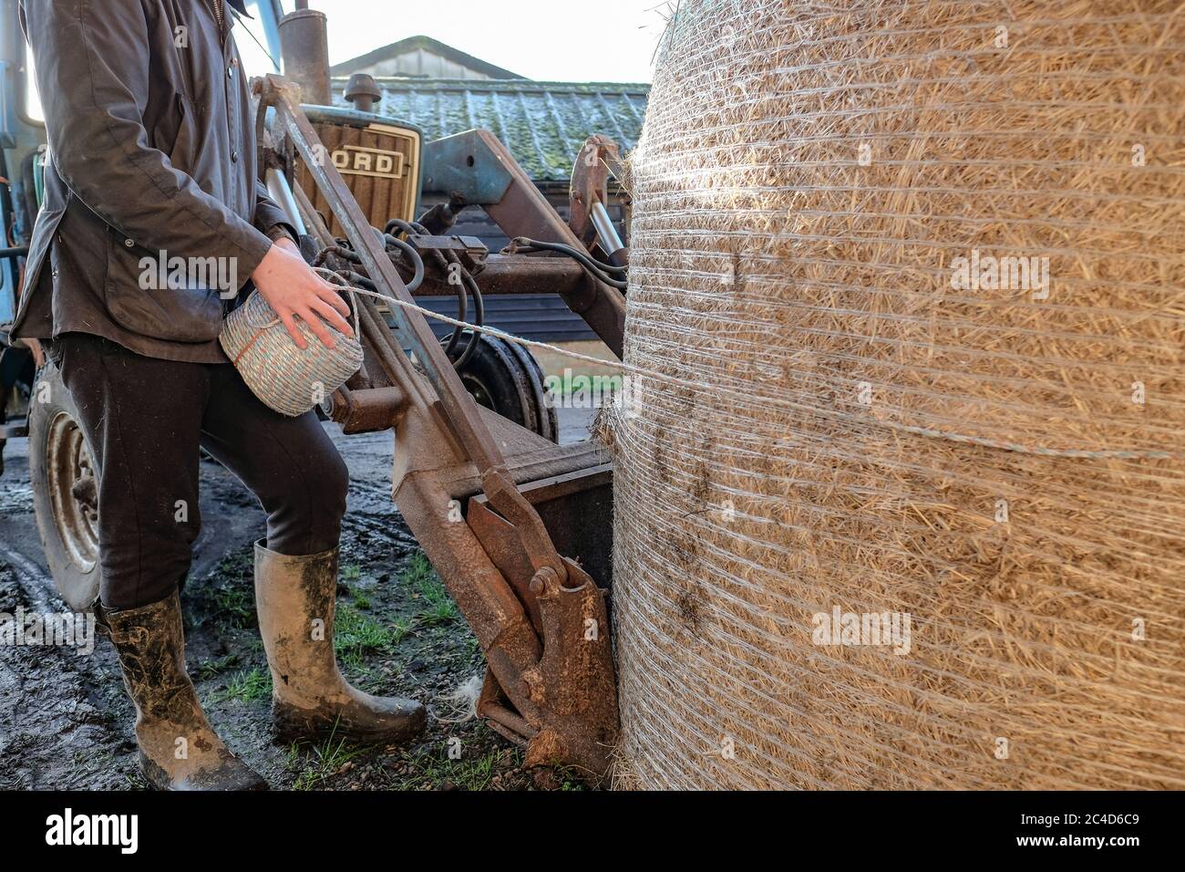 Young male farmer seen wrapping a large agricultural bale of straw ...
