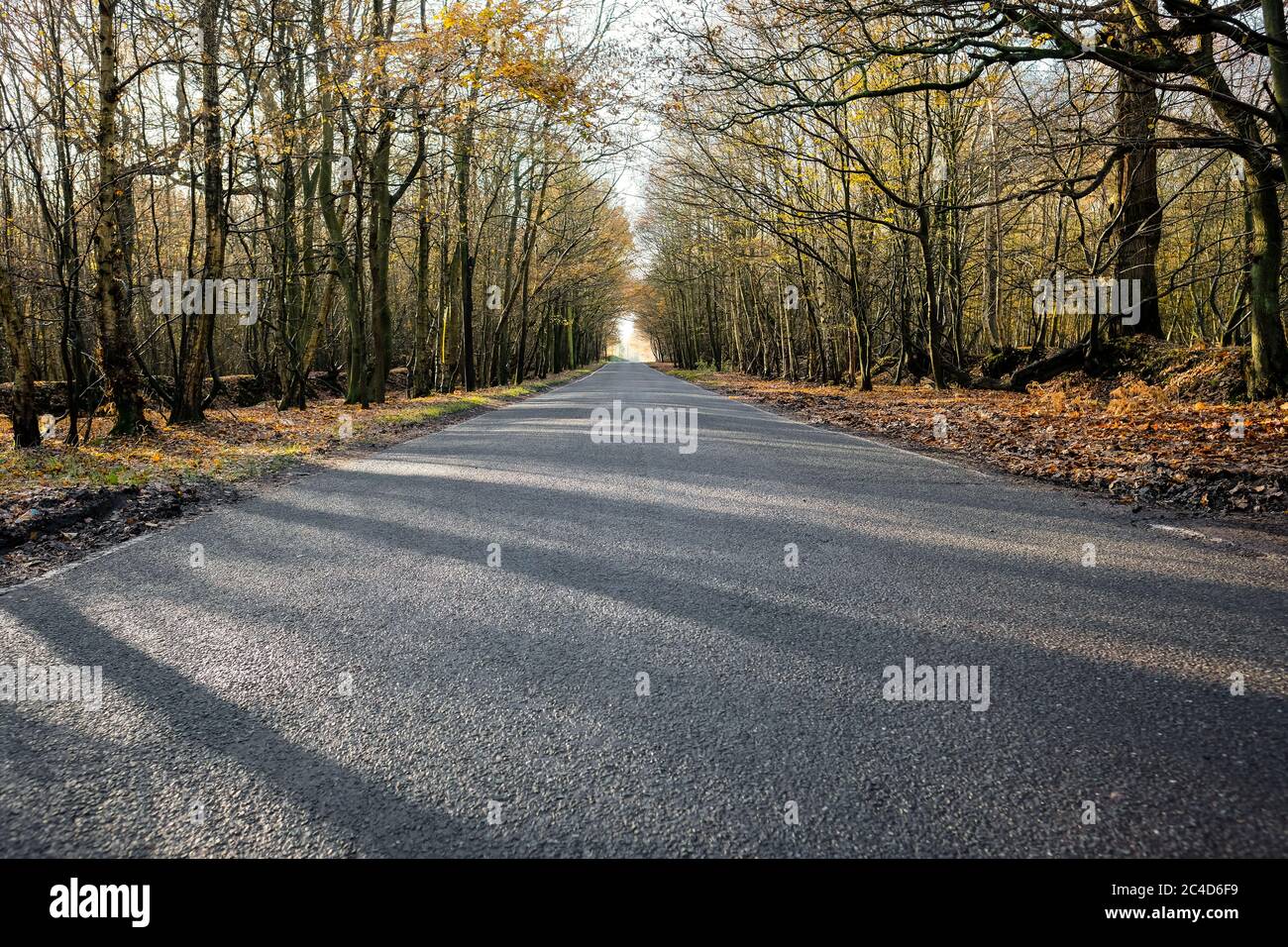 High contrast, low level view of a straight, asphalt road traveling ...