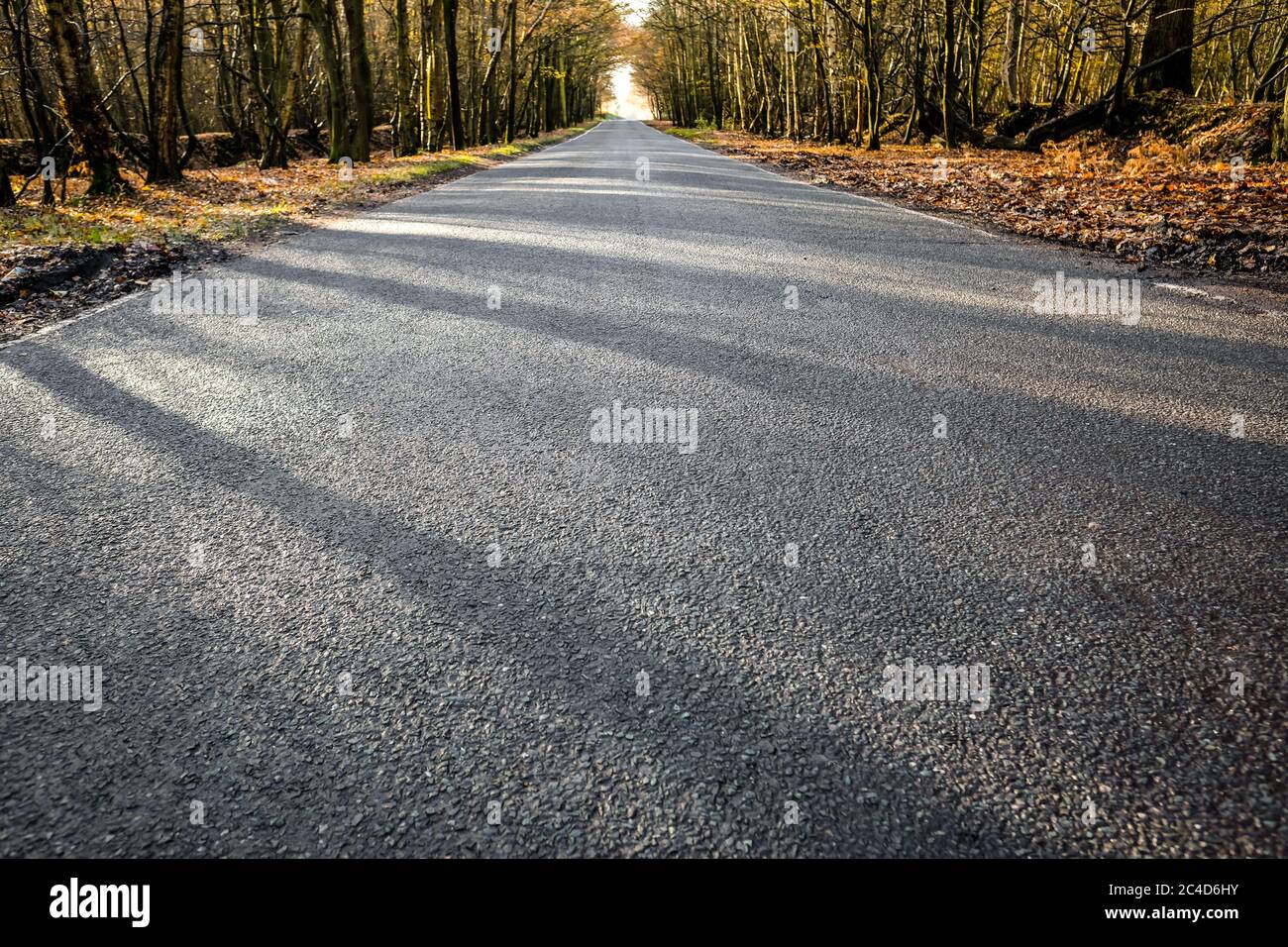 High contrast, low level view of a straight, asphalt road traveling ...