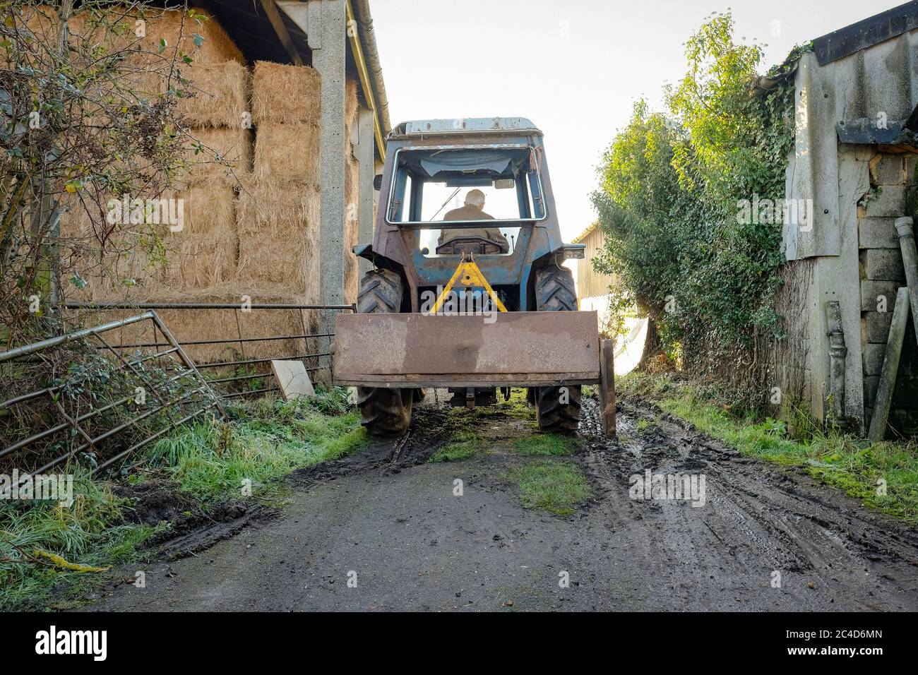 Farm tractor seen progressing between a straw barn and outbuilding, on ...