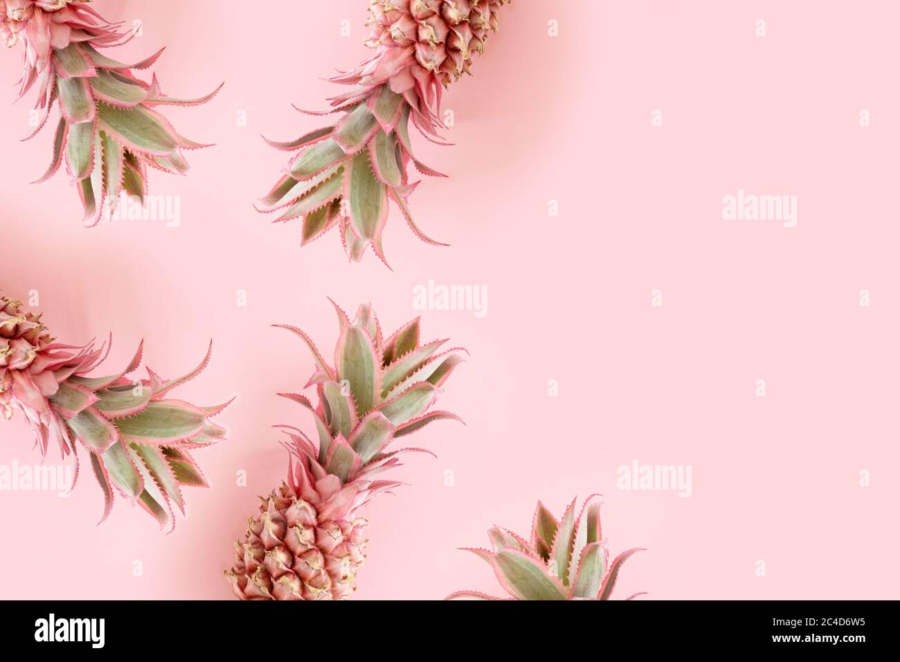 Frame made of little decorative pineapples on a pink background. Summer ...