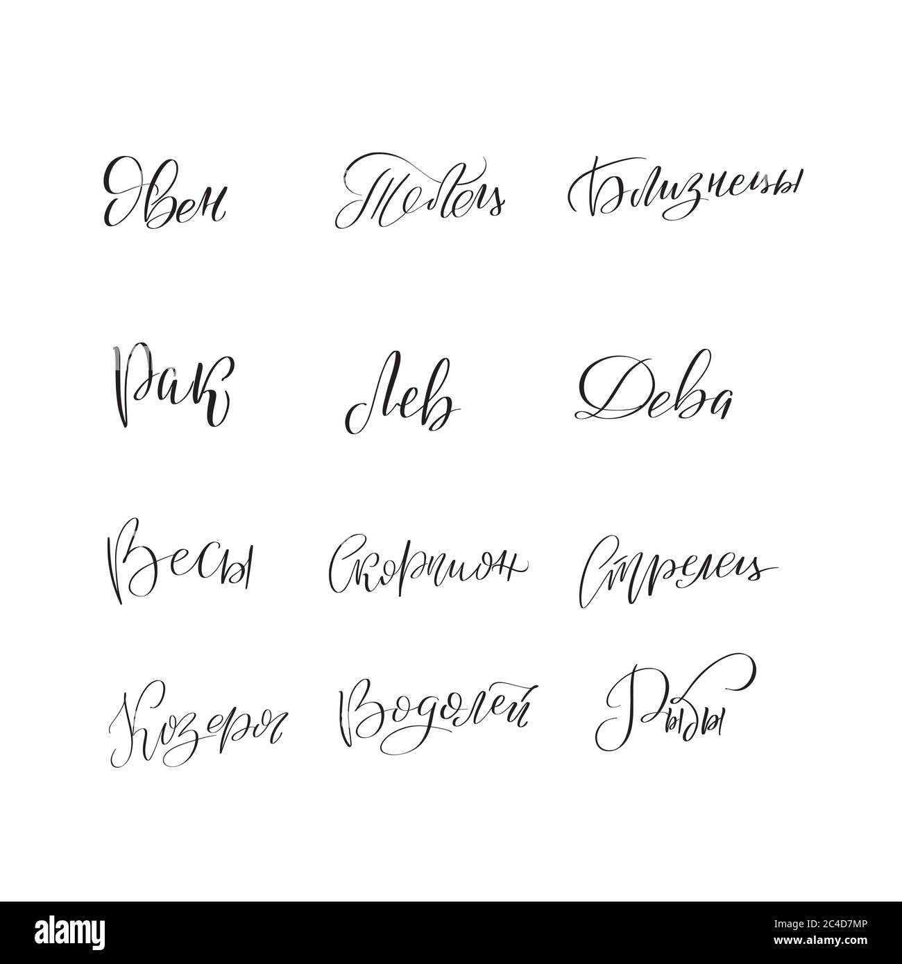 Vector calligraphy illustration isolated on white background Stock ...